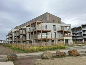 Au Rheu, un projet de jardins familiaux sur le site de l’Orme Robin