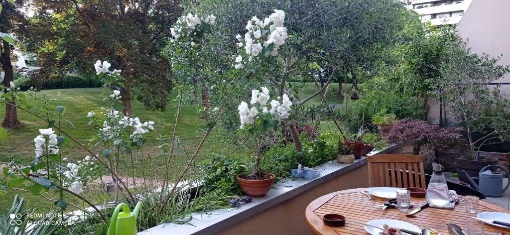 Location Appartement T1 Meublé à Verrières-le-Buisson (91370) : à louer ...