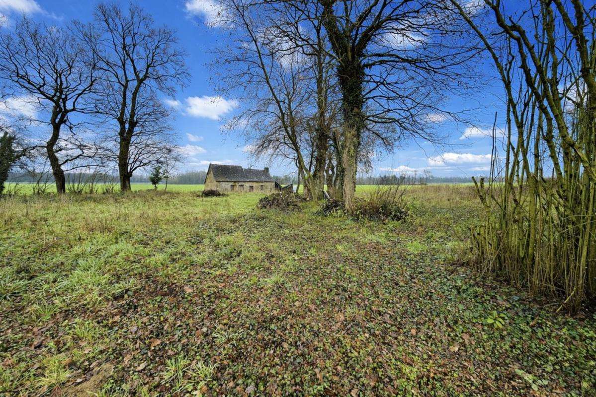 Vente Maison à Janzé (35150) : à vendre / 105m² Janzé