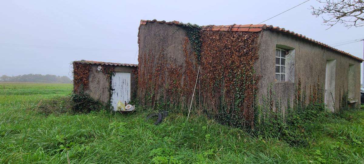 Vente Maison au Pallet (44330) : à vendre / 63m² Le Pallet