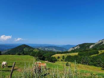 Le Puy-en-Velay : actualités et infos en direct, sorties, agenda ...