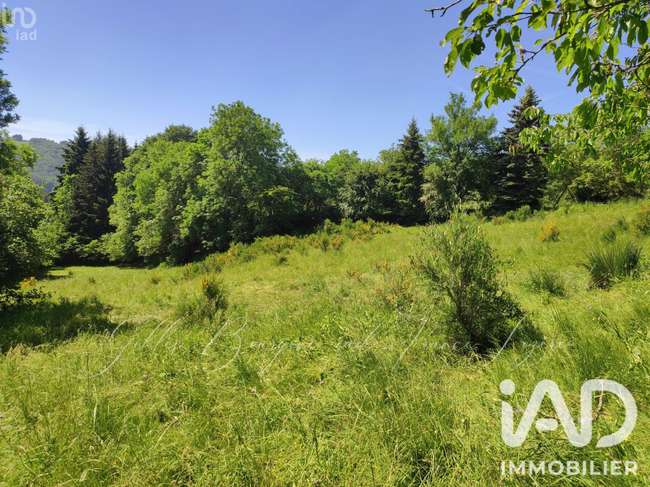 Vente Terrain à Aumont-Aubrac (48130) : à vendre / 4480m² Aumont-Aubrac