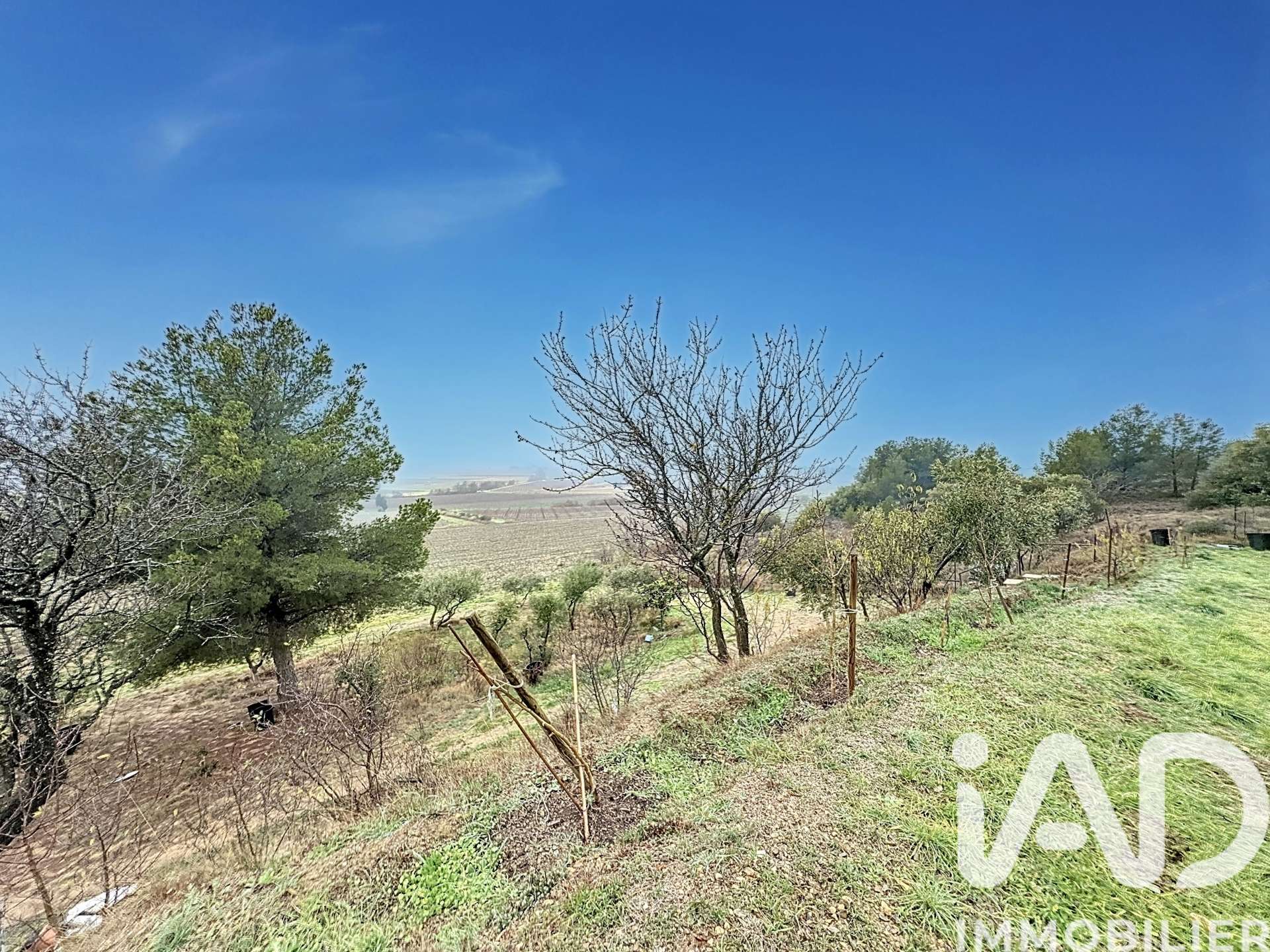 Vente Terrain à Azille (11700) : à vendre / 4865m² Azille