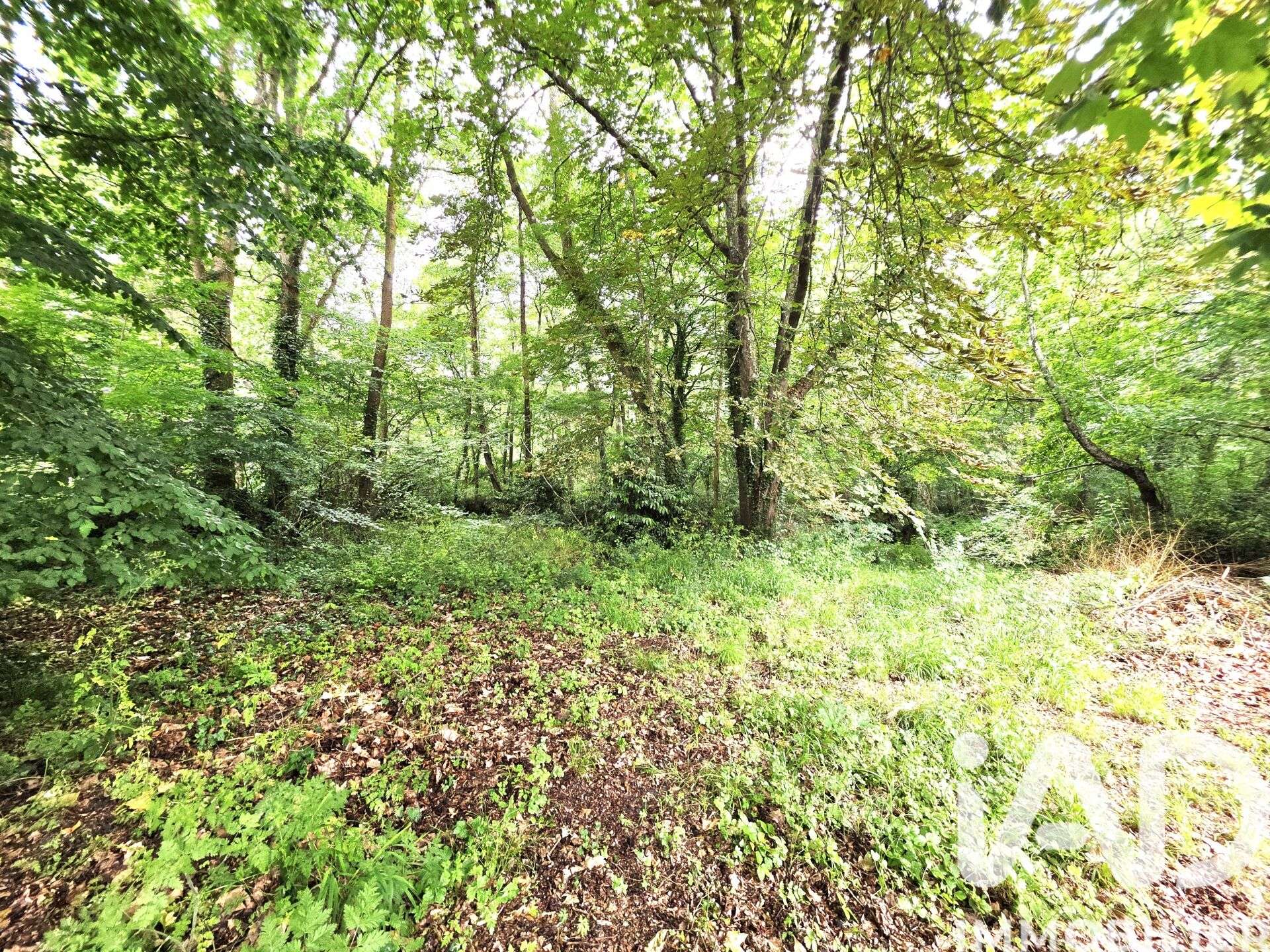 Vente Terrain au Pian-Médoc (33290) : à vendre / 1103m² Le Pian-Médoc