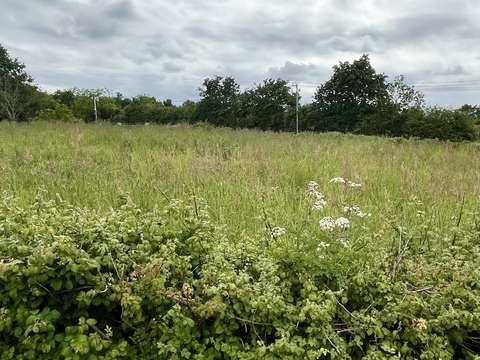 Vente Terrain à Legé (44650) : à vendre / Legé