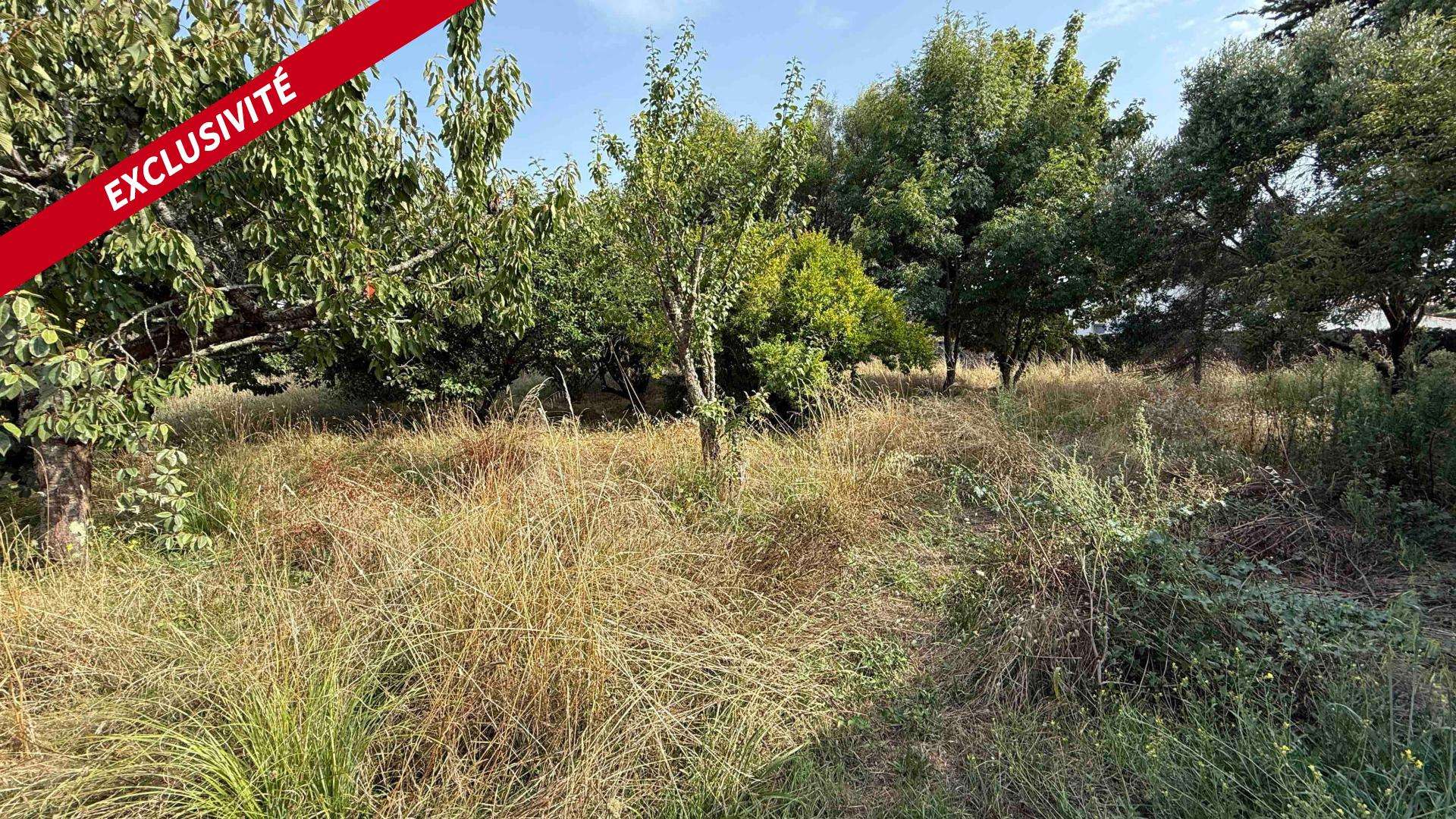 Vente Terrain à Port-joinville (85350) : à vendre / 874m² Port-joinville