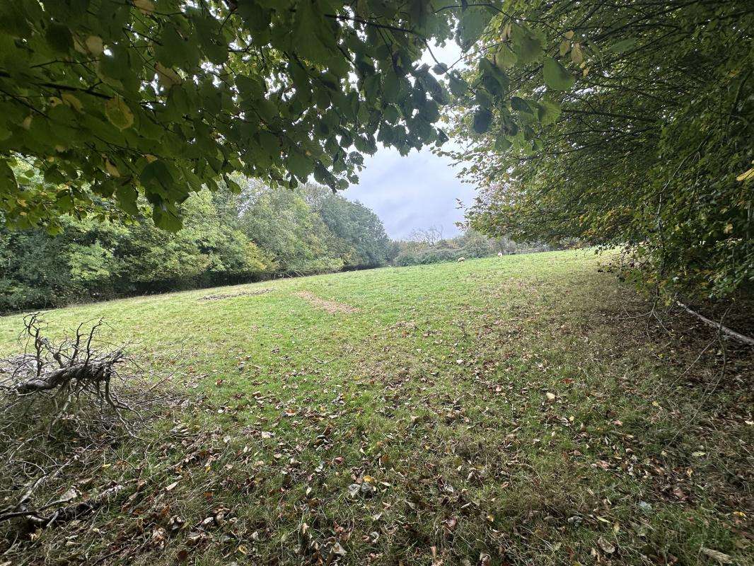 Vente Terrain à Saint-Étienne-la-Thillaye (14950) : à vendre / 2000m² ...