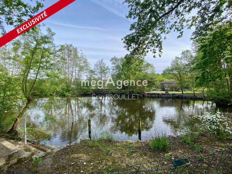 Vente Terrain à Saint-Georges-sur-Loire (49170) : à vendre / 12047m² ...