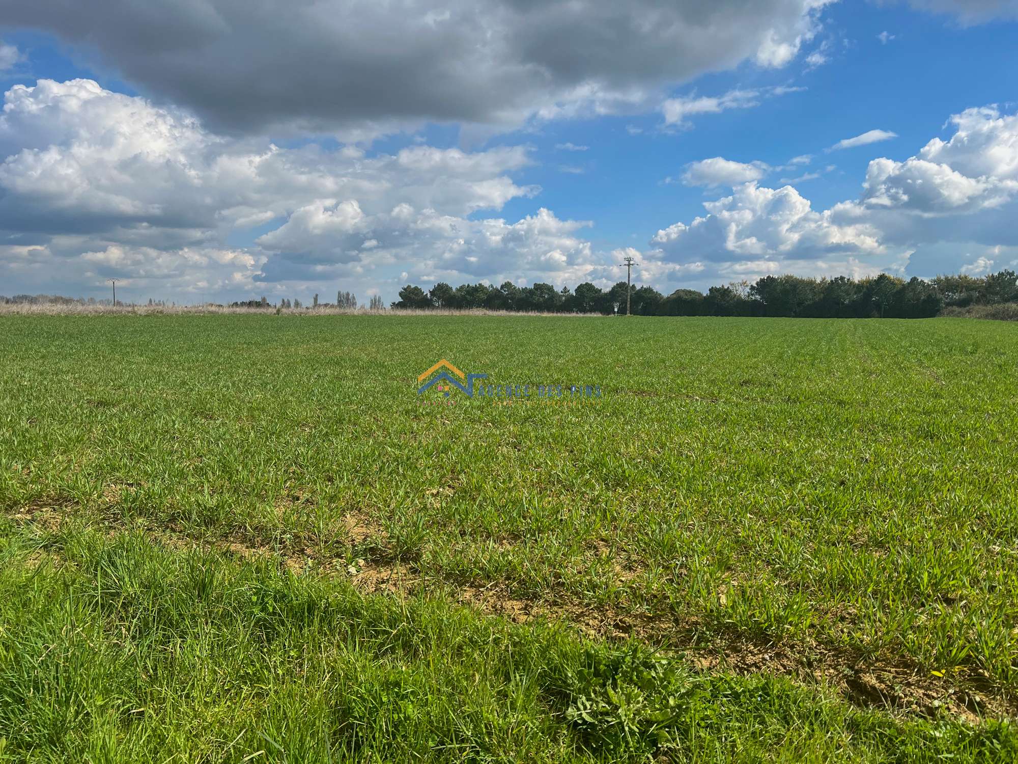 Vente Terrain à Saint-Vincent-sur-Jard (85520) : à vendre / Saint ...
