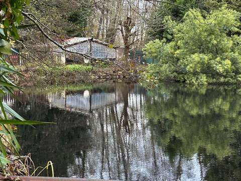 Vente Terrain à Sainte-Foy (85150) : à vendre / 4142m² Sainte-Foy