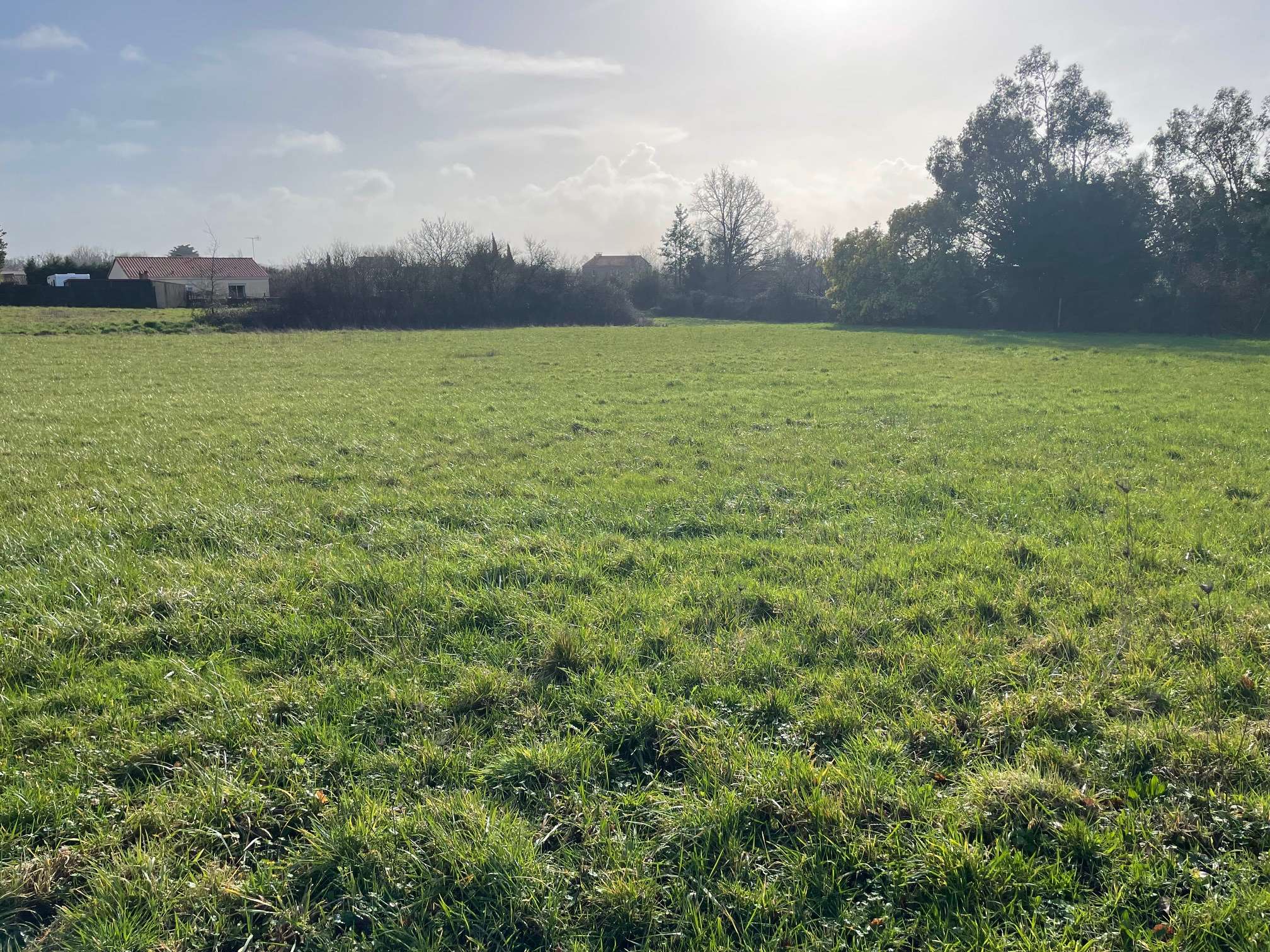 Vente Terrain à Villeneuve-en-Retz (44580) : à vendre / Villeneuve-en-Retz